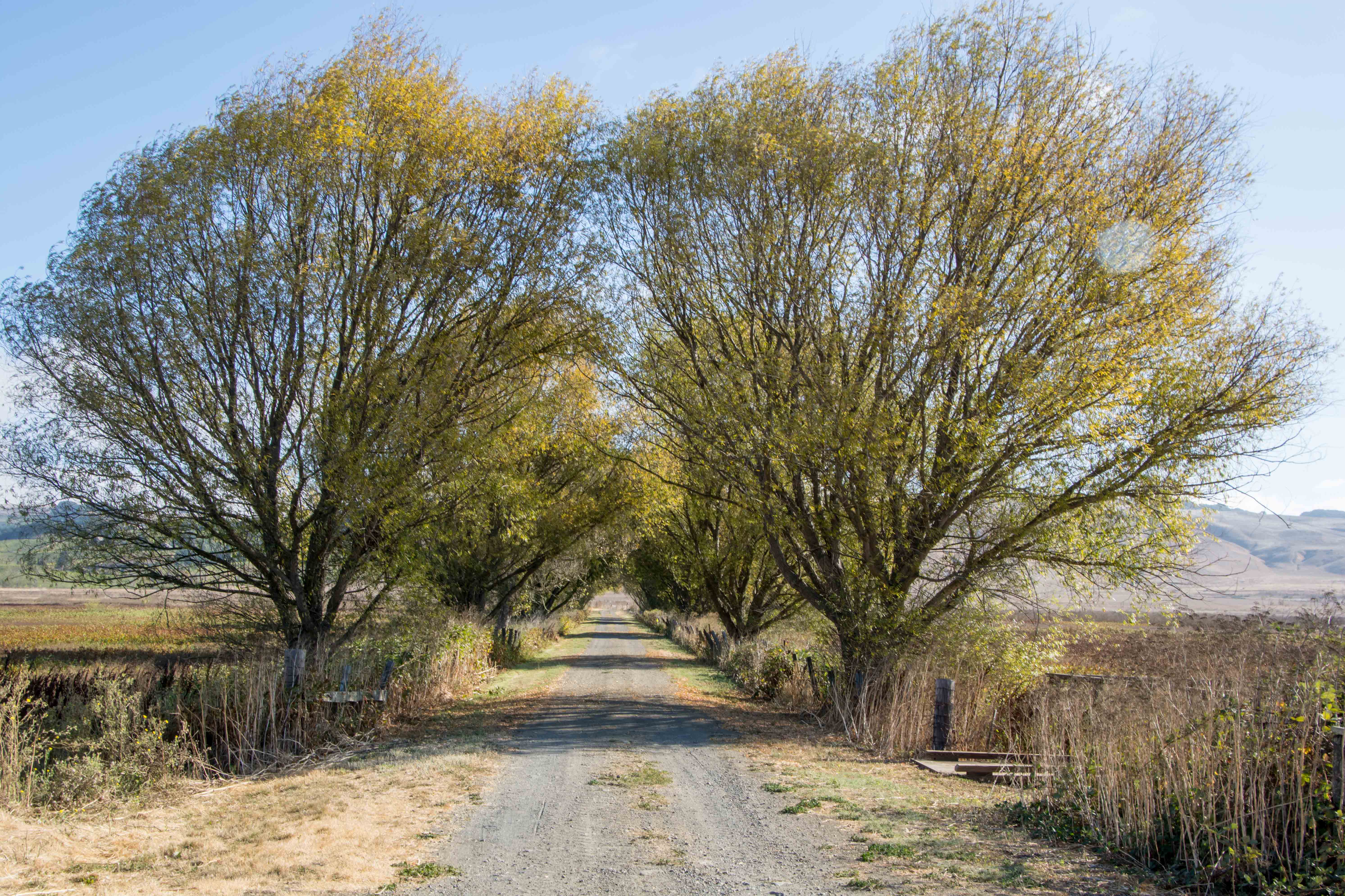 Charming Tolay Lake – Sonoma County – Smiling In Sonoma