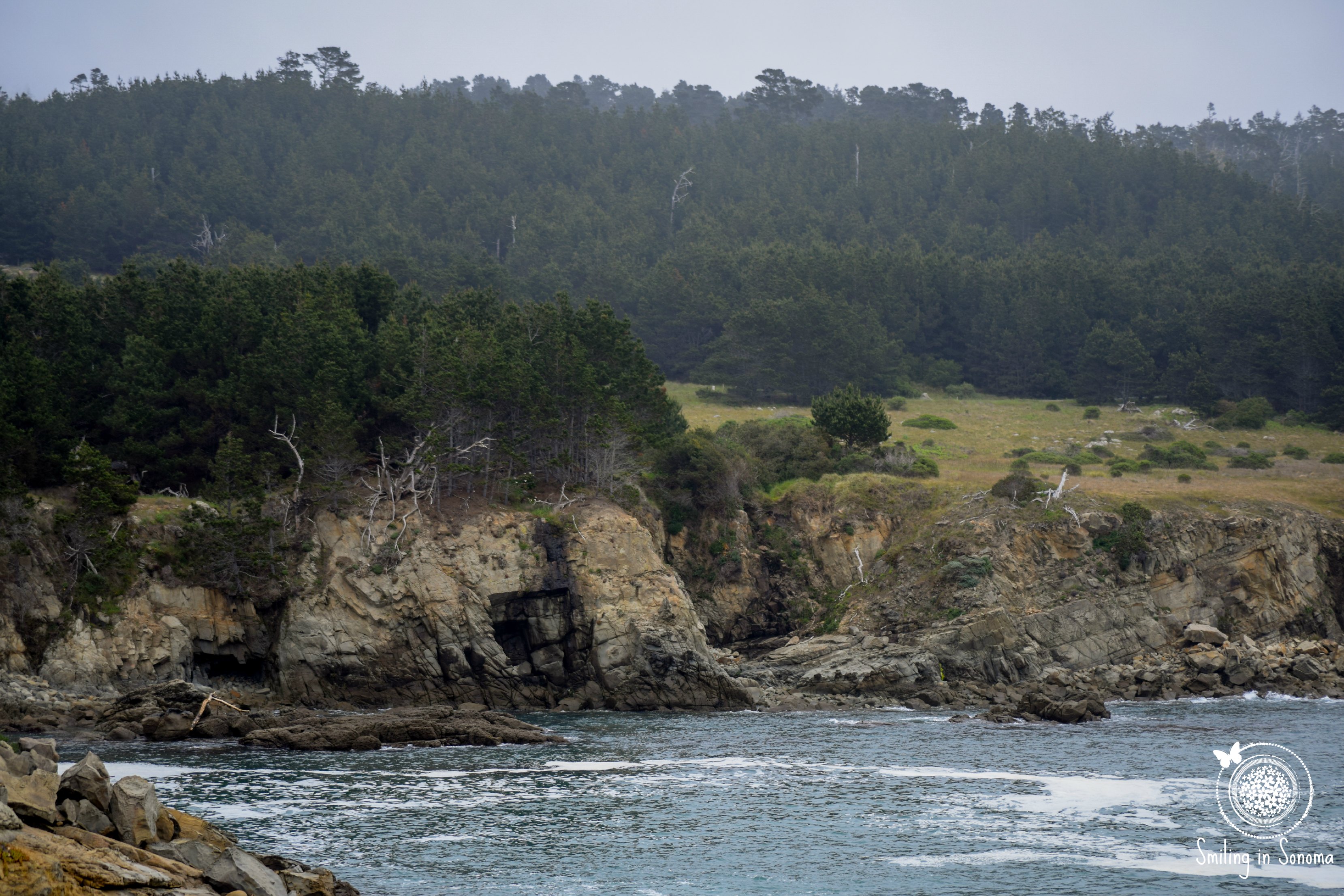 Gerstle Cove 100 – Smiling In Sonoma