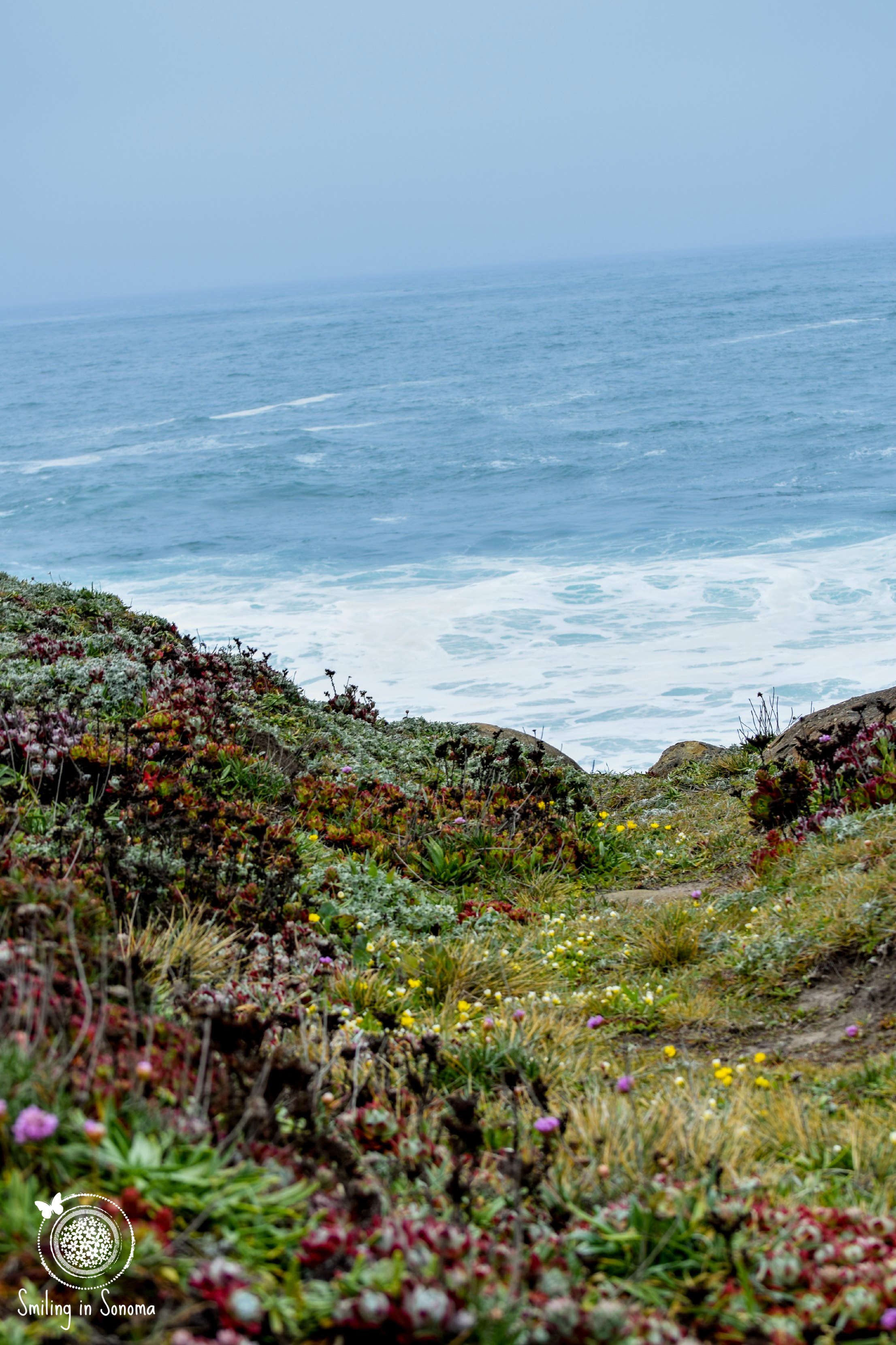 Gerstle Cove 125 – Smiling In Sonoma