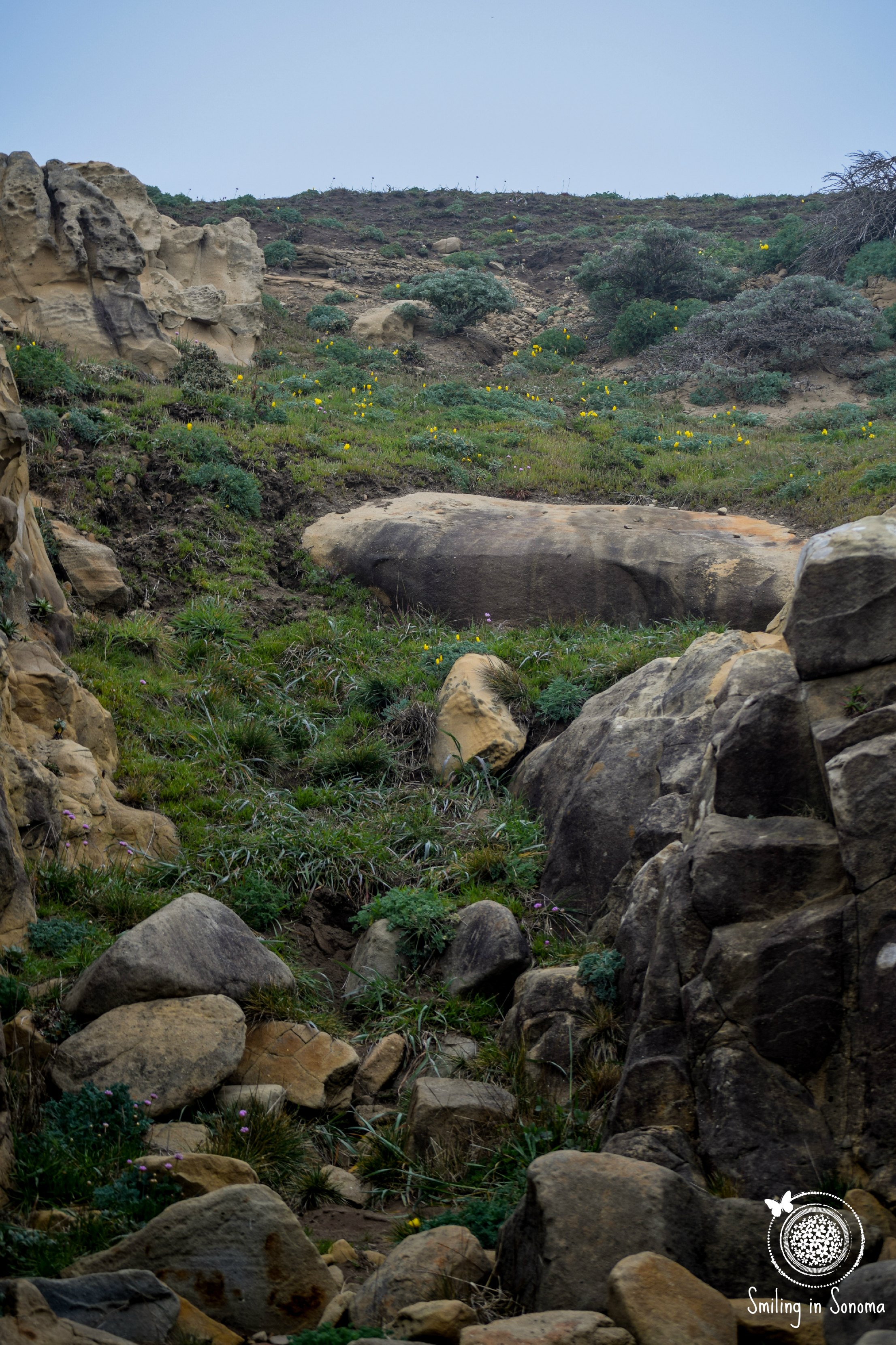 Gerstle Cove 143 – Smiling In Sonoma