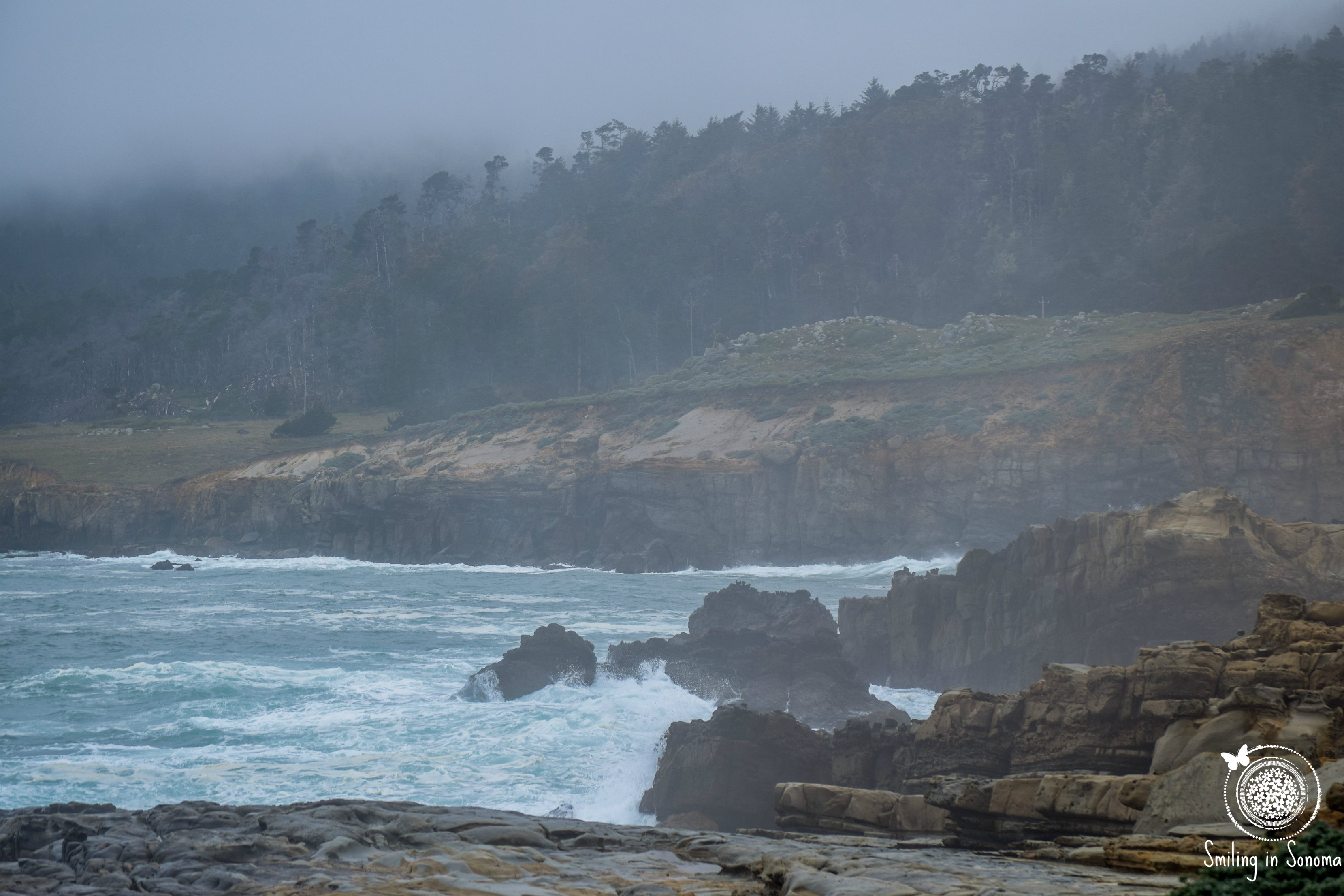Gerstle Cove 152 – Smiling In Sonoma